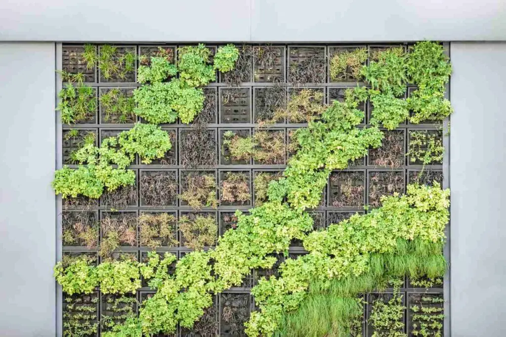 DIY Living Wall⁠—A Step-by-Step Tutorial | Green Building Canada