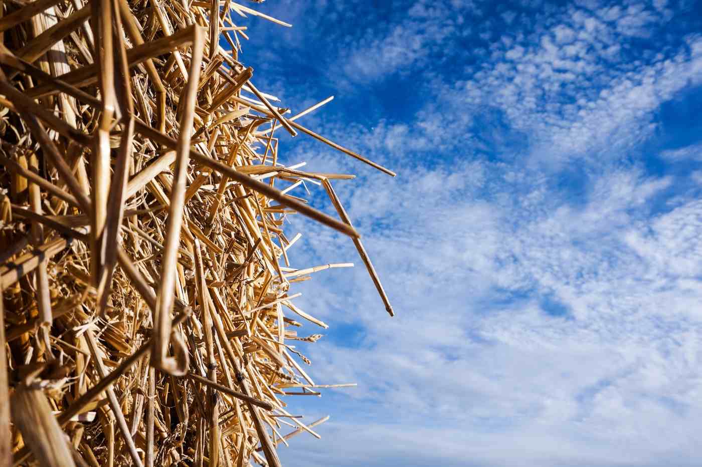 8 Benefits of Straw Bale Construction | Green Building Canada